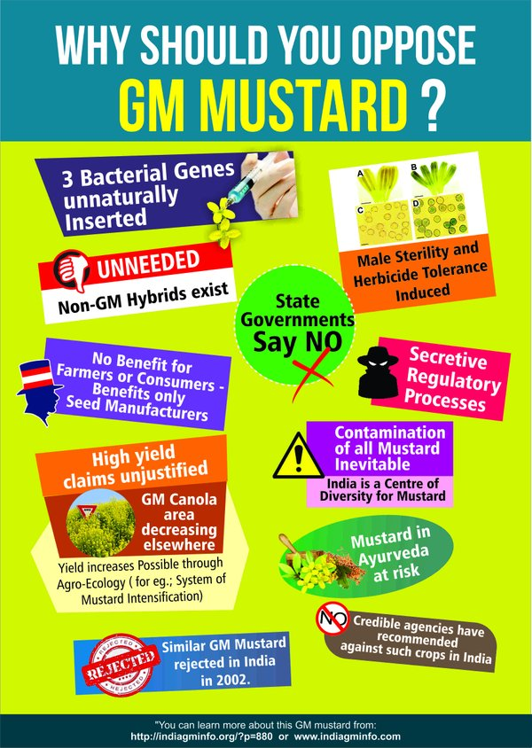 For GMO-free Food, Agriculture and Environment: POSTER : Why should you ...