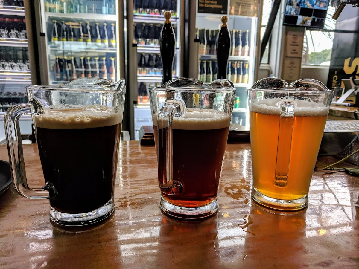 The Best Nelson Craft Beer on a Trip to New Zealand | Sidewalk Safari ...