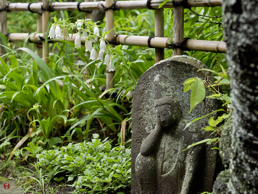 FROM THE GARDEN OF ZEN: June 2011