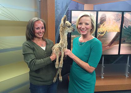 Book Q&As with Deborah Kalb: Q&A with Amber Isaac