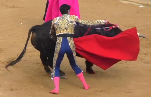 Asociación Toreo en Red Hondo: TOROS SIN IDEAS