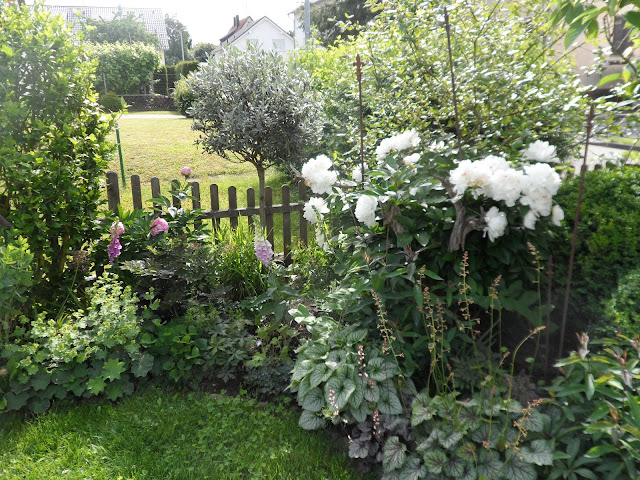 Garten Westwind, ein kleiner Familiengarten