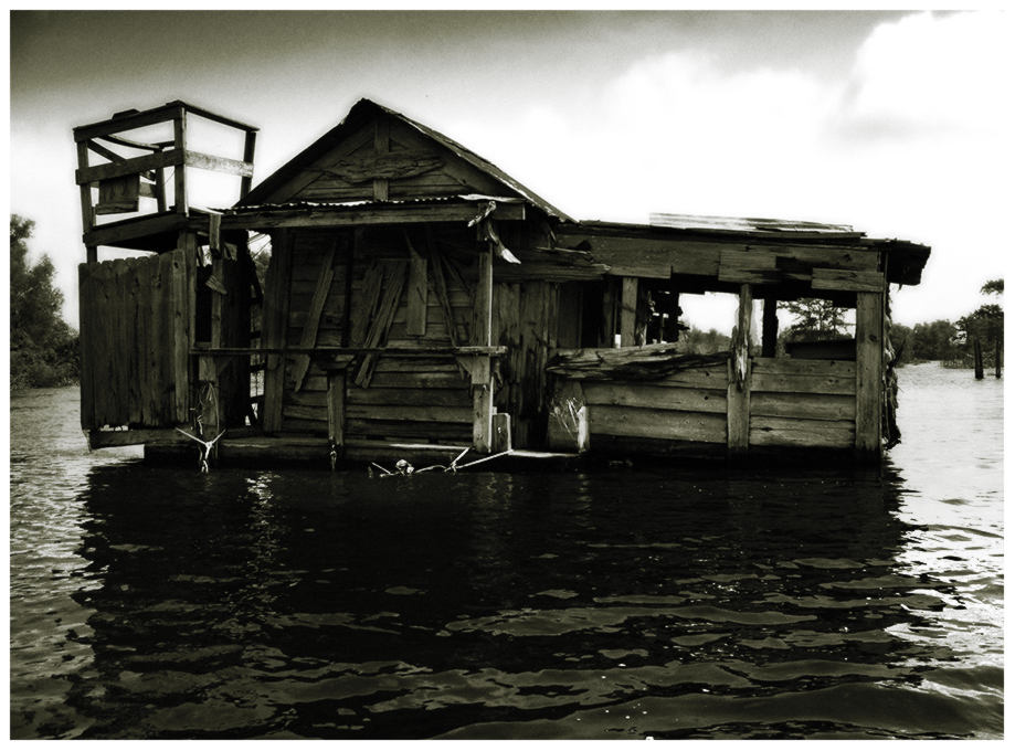 Wiley and the Hairy Man: Swamp Houses