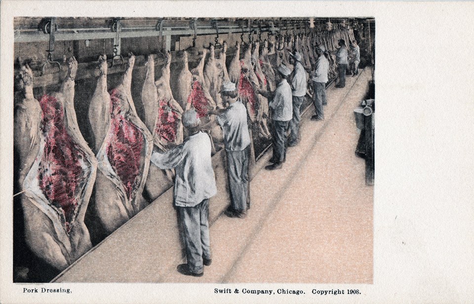 Industrial History: Swift & Company (Refers)