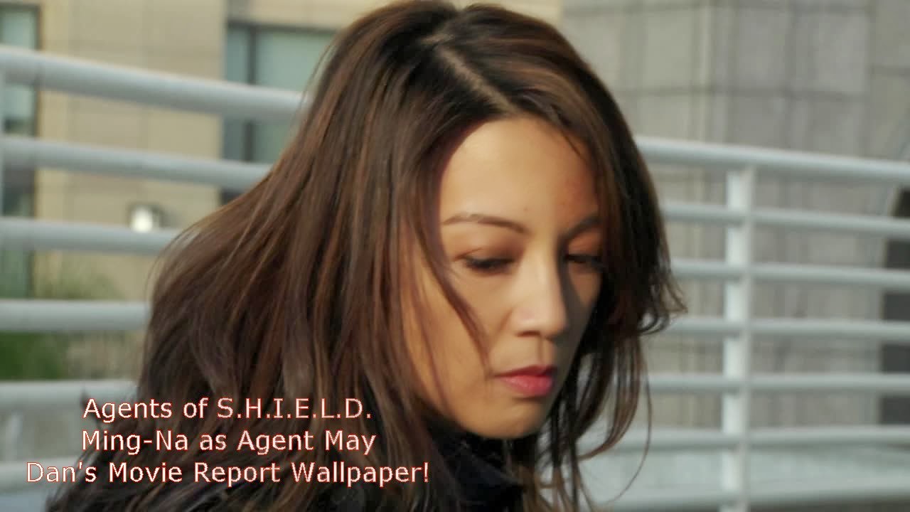 Tim Thome's Instagram, Twitter & Facebook on IDCrawl