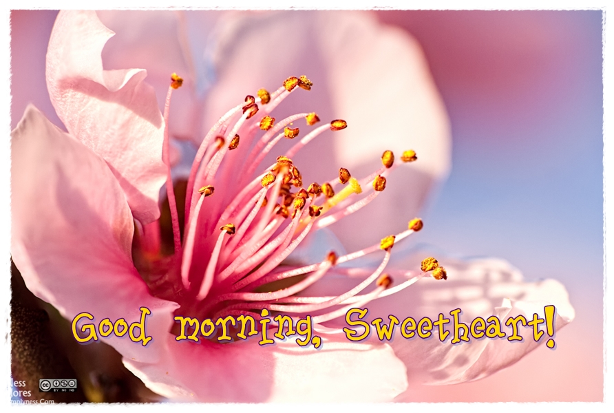 Nice Gud Morning Cards, Fresh Gud Morning Wishes | Festival Chaska Nice Gud Morning Cards, Fresh Gud Morning Wishes | Festival Chaska