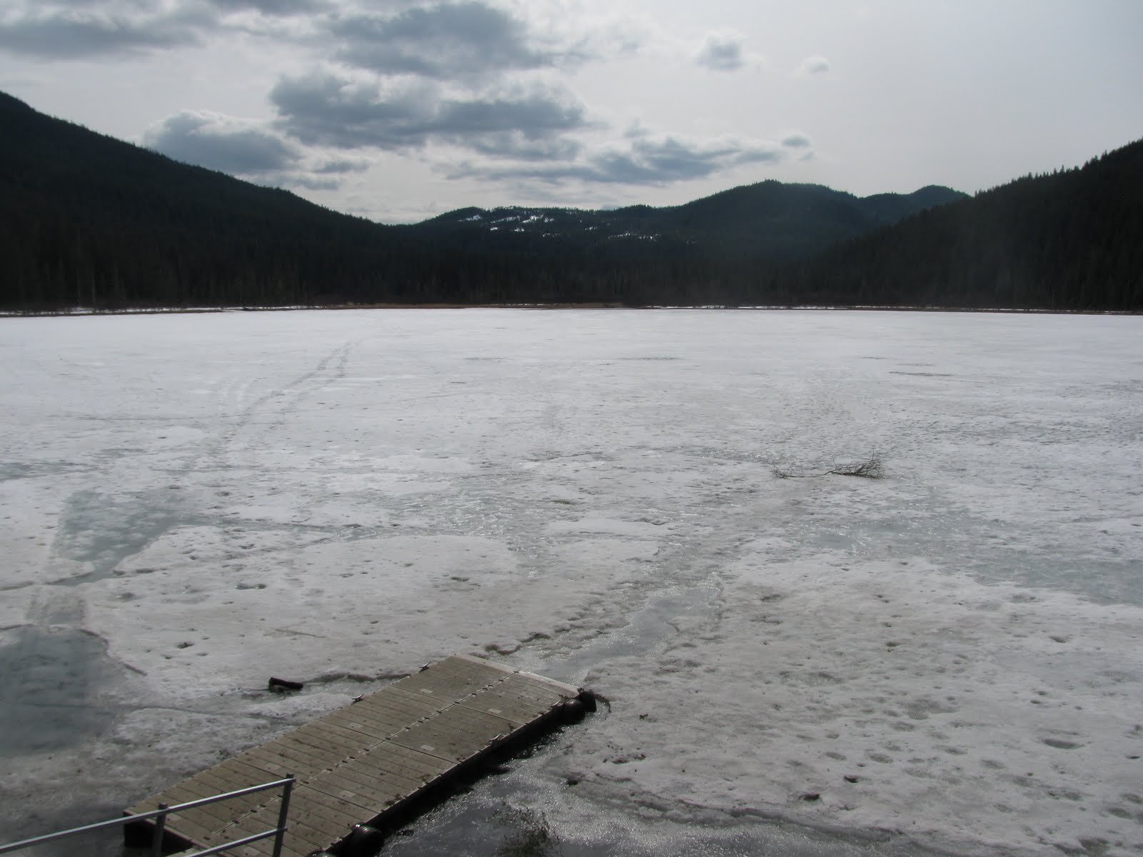 Dancing Nomad's Adventures in Alaska: Windfall Lake Trail