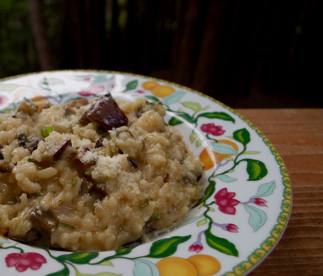 Ottolenghi's Lemon and Eggplant Risotto