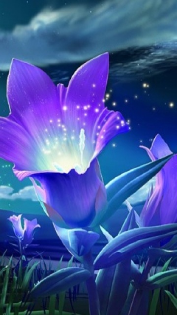 Dream, Achieve and Win