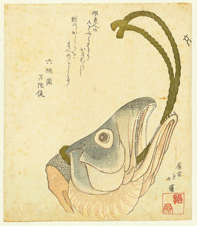 Haiku-like: About Haiku-like Poetry by Rick Doble