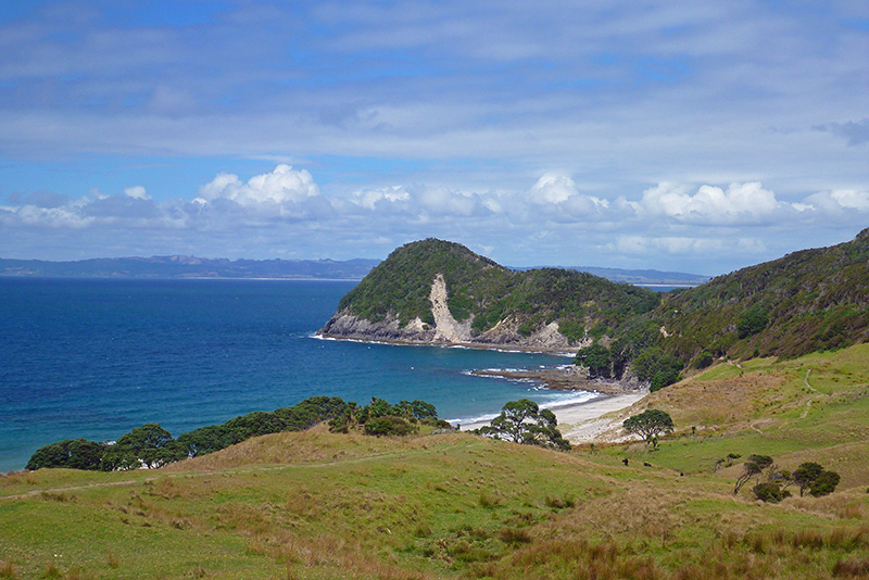 The Adventures of S/V Silhouette: Journey to Whangarei