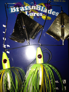 Southern Bass Fishing: Bass Anglers, The Time Is Now!