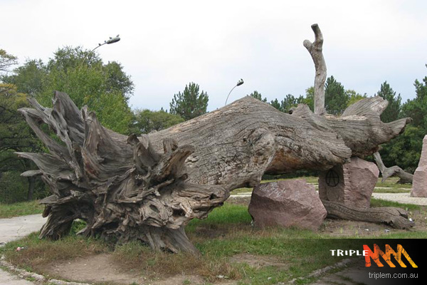 girl tattoo designs dragon: Funny Trees Pictures