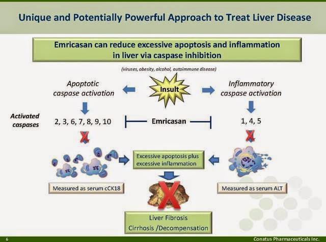 10Q Detective: September 2014