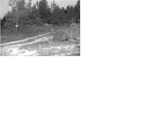 Nightmare in Columbia County movie