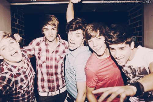 One Direction Lovers