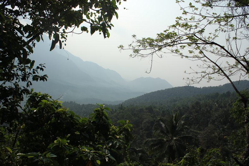 Kerala Hills: Vayalada - Balussery, Kozhikode