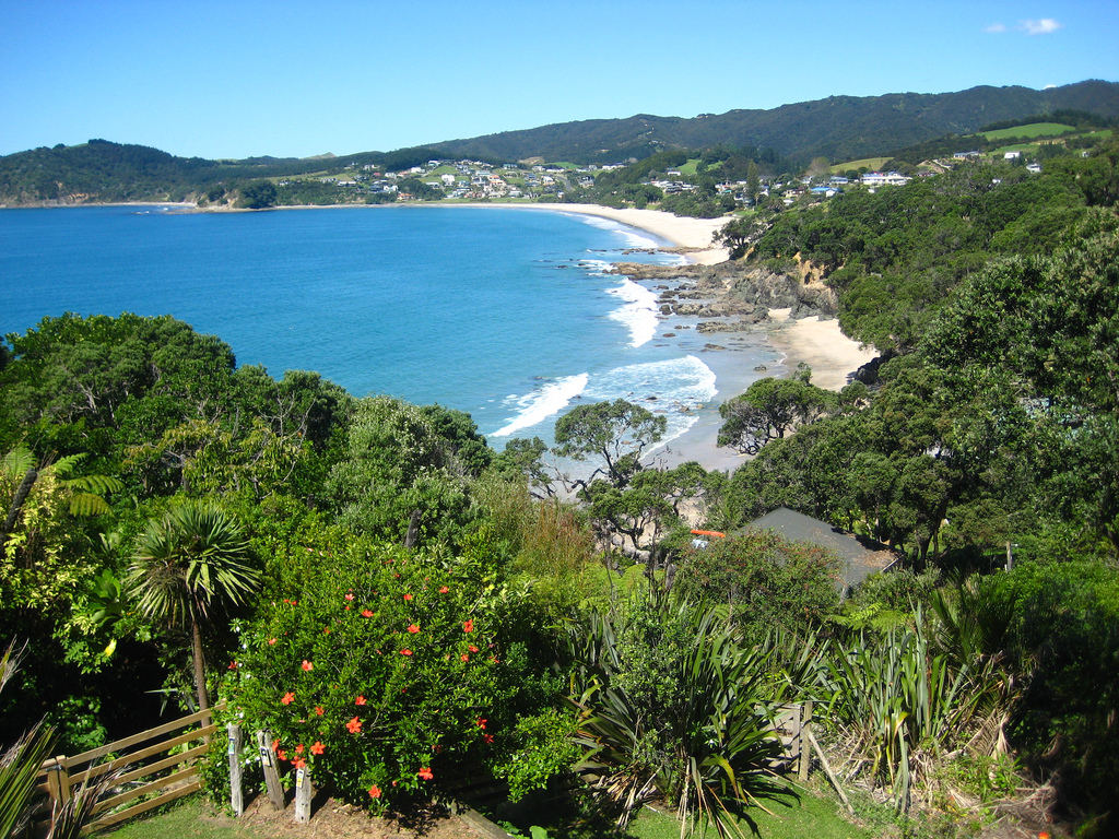 Trail Land, en tierra de Trail: Jez Bragg se enfrenta a Te Araroa, The ...