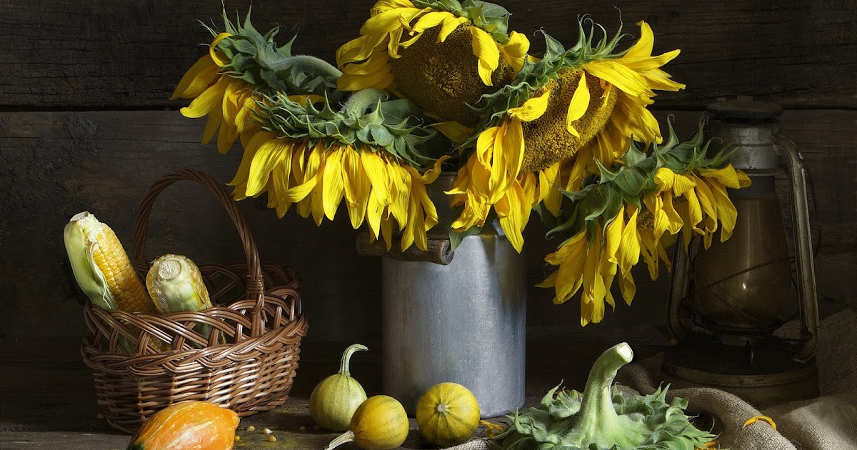 Auntiebanshee: Late summer early fall images