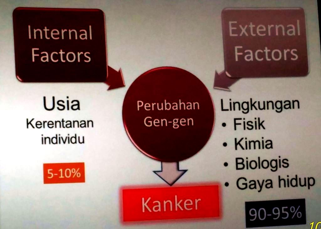 Cegah Kanker Payudara dan Kanker Serviks Dengan Pola Hidup Sehat Sejak Dini | Kidung Kinanthi