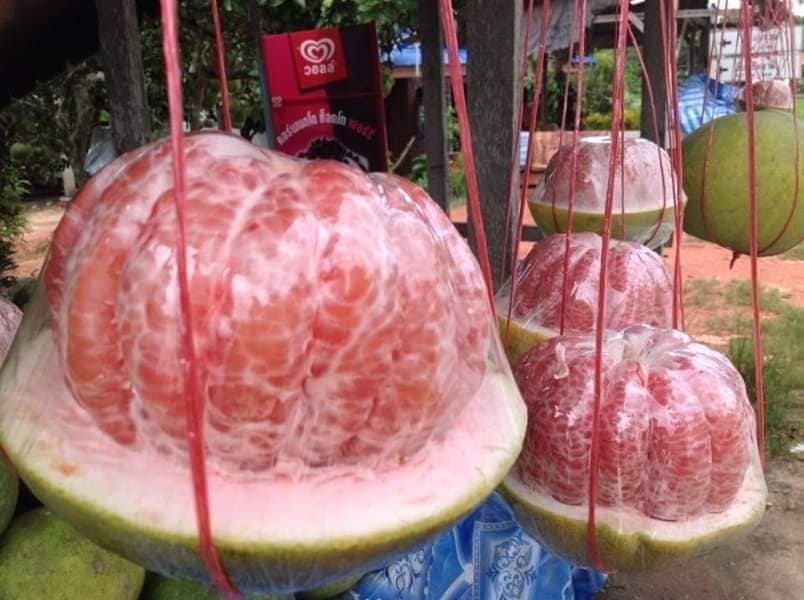 Berita TV Malaysia: Stock pokok limau bali isi merah