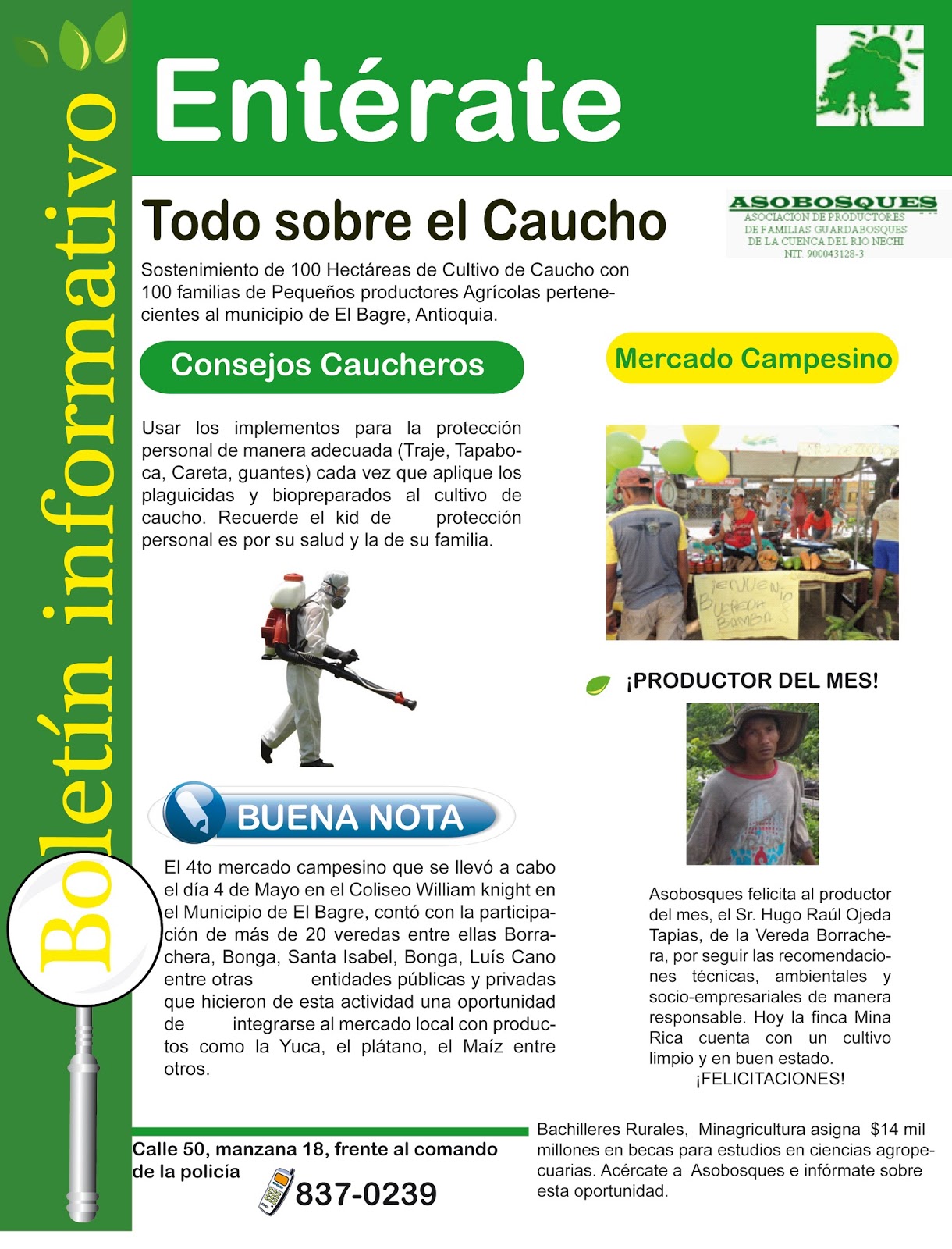 ASOBOSQUES: NUESTRO BOLETÍN ¡ENTÉRATE!