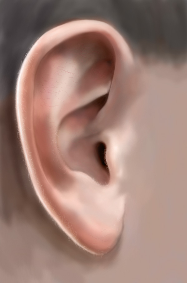 Draw Me Blog: How to draw an ear