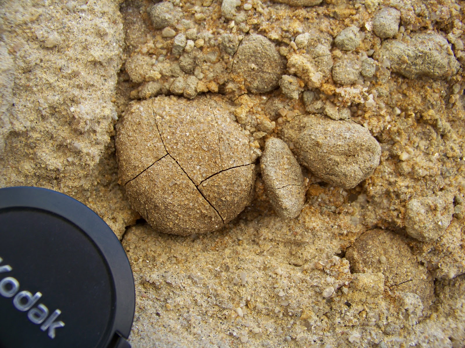 The Dynamic Earth: Armored Mudballs!