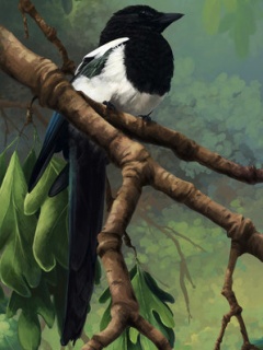 Ashwini Rai: Painting's