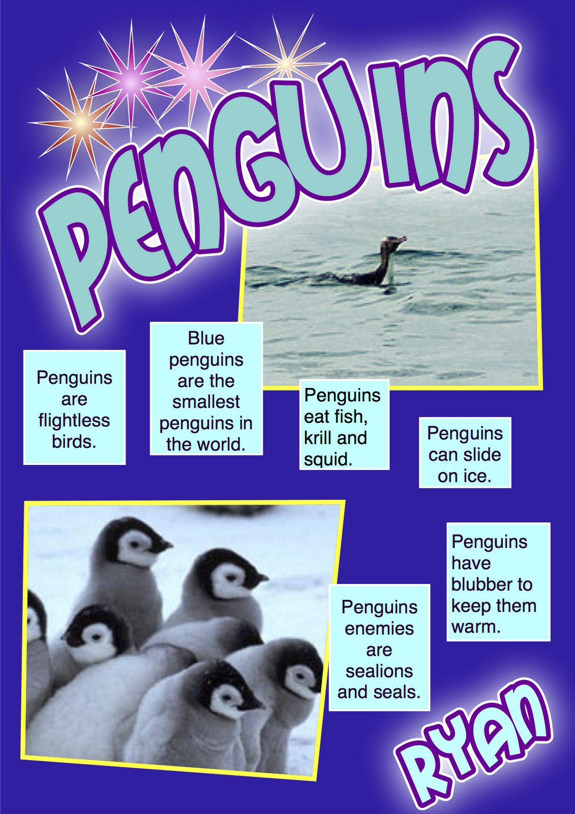 SPS Superstars: Penguin Posters