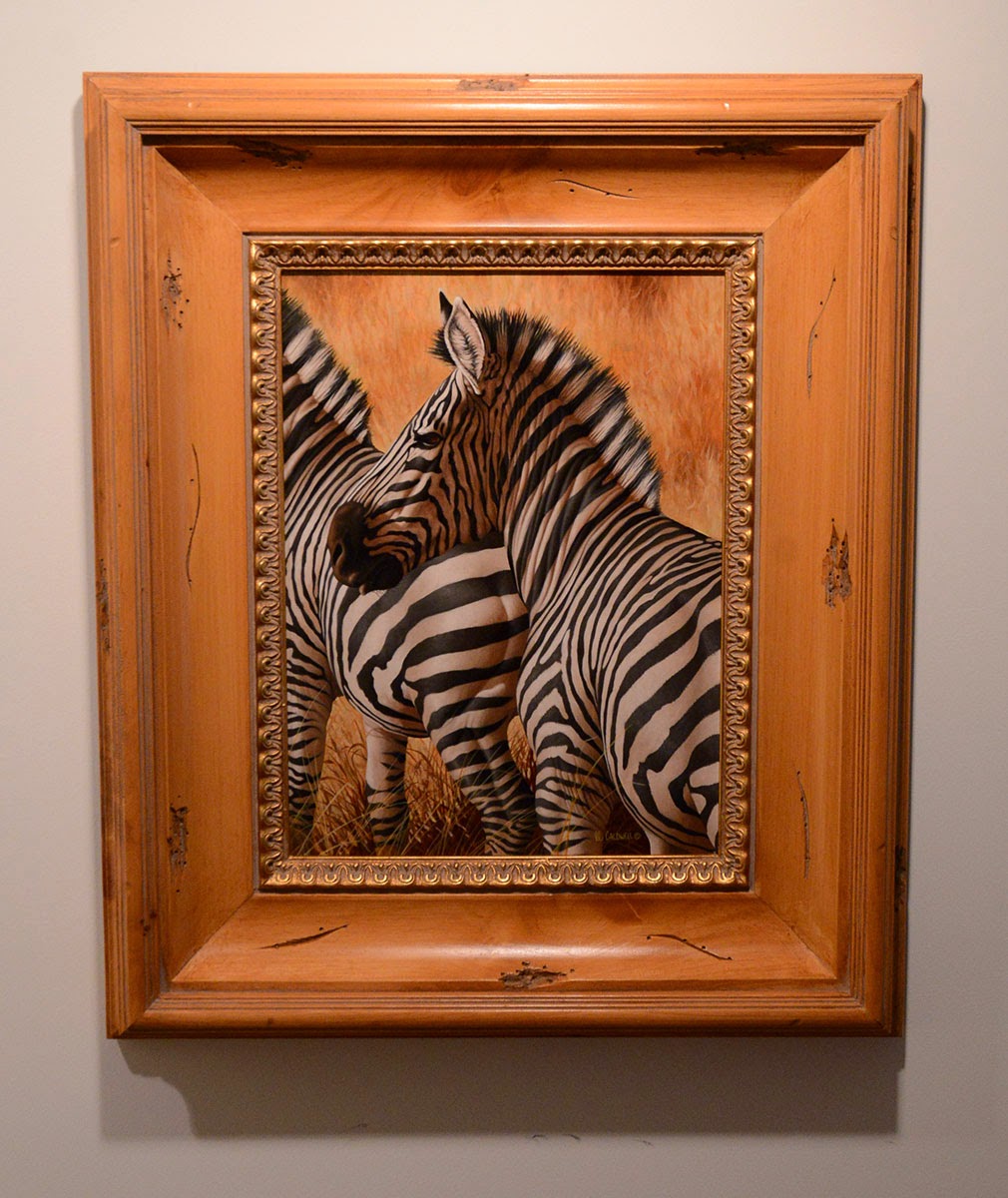 A zebra “traffic jam!”