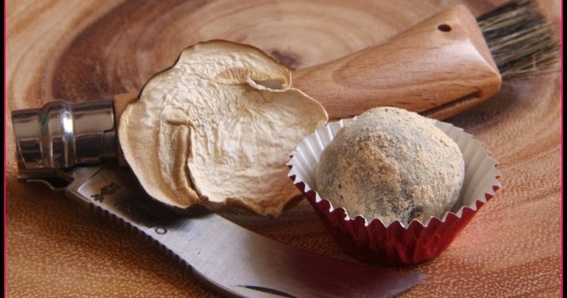 Chocolate Truffles Rolled in Porcini Powder
