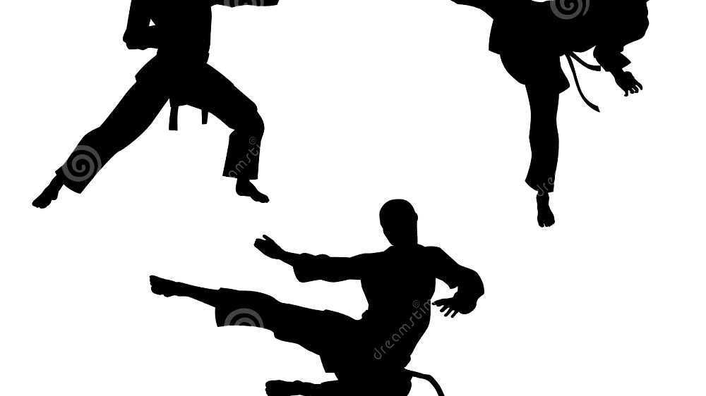 Outline of martial arts