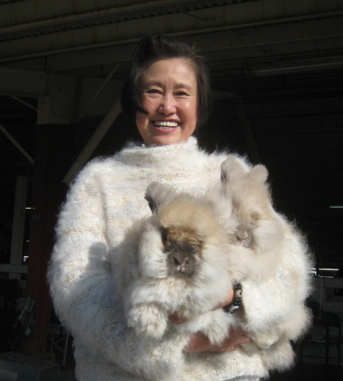 Arnab Angora - Diternak Kerana Bulu - CariDotMy