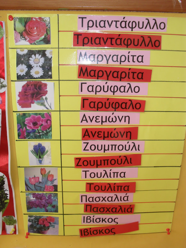 ...Το Νηπιαγωγείο μ' αρέσει πιο πολύ.: Πίνακας αναφοράς με λουλούδια