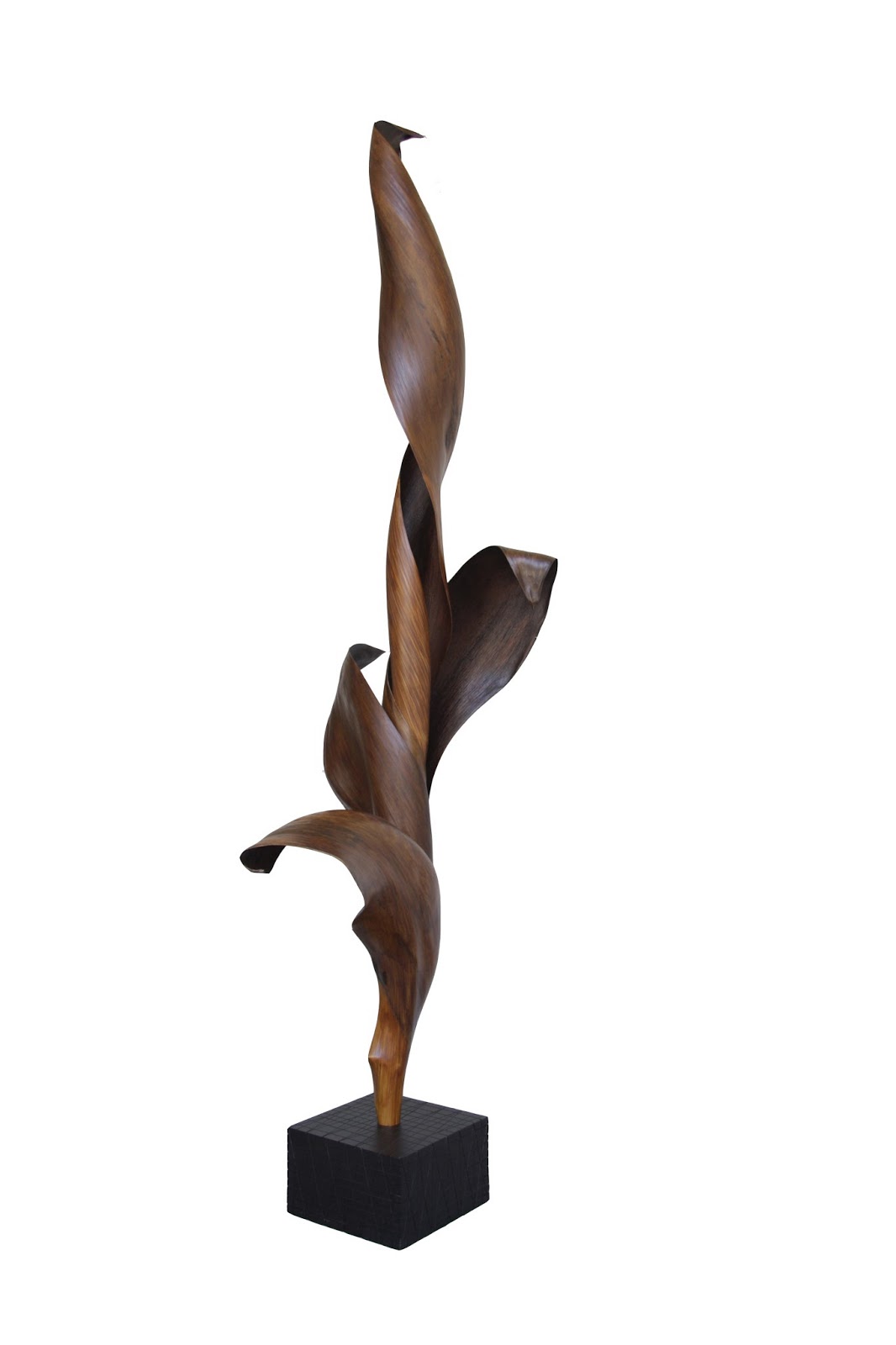 INEDIT: Esculturas de hojas de Pambil