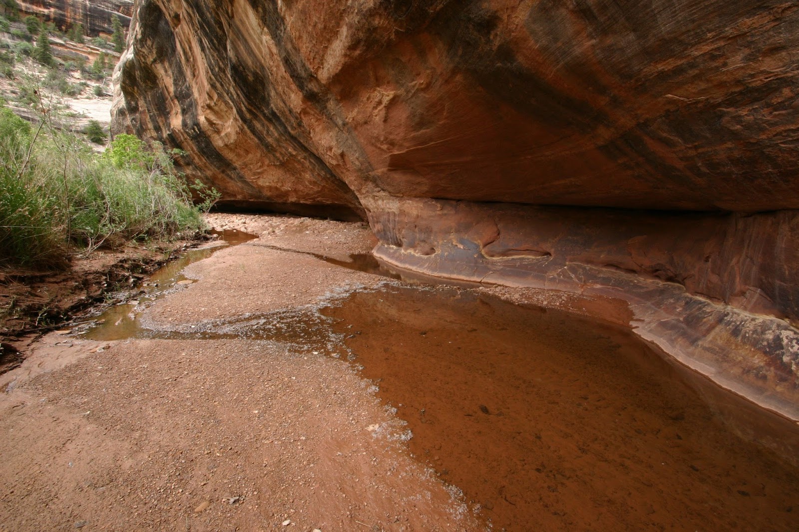 Running From Moose: Natural Bridges National Monument: A River Runs ...