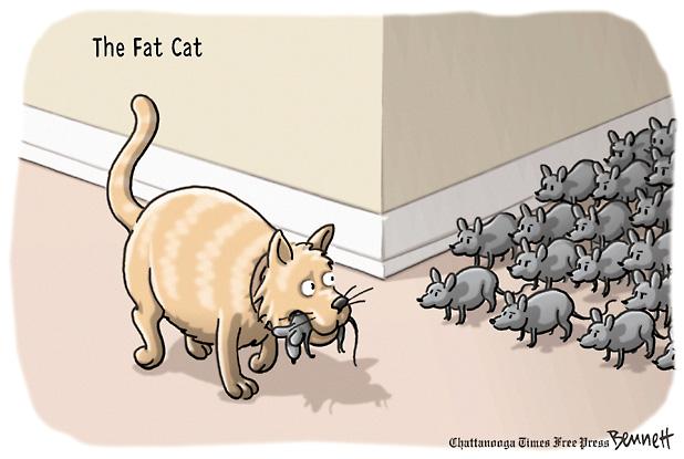 jobsanger: The Fat Cat