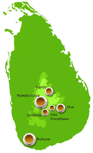 Tea Technology & Value Addition (B.Sc.) : Tea Growing Areas in Sri Lanka
