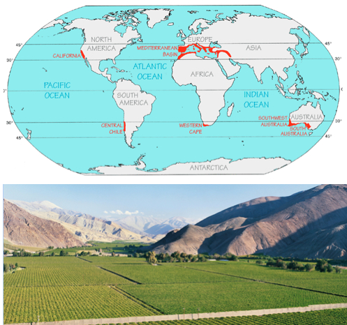 NephiCode: Questions That Have to be Answered About the Land of Promise ...