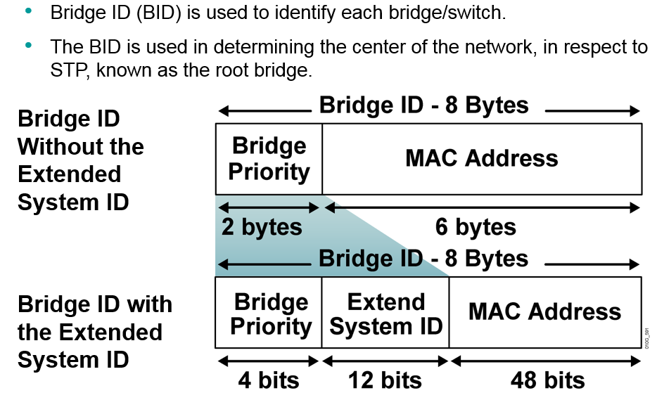 Networking And Scripting : Packet Formats to Remember