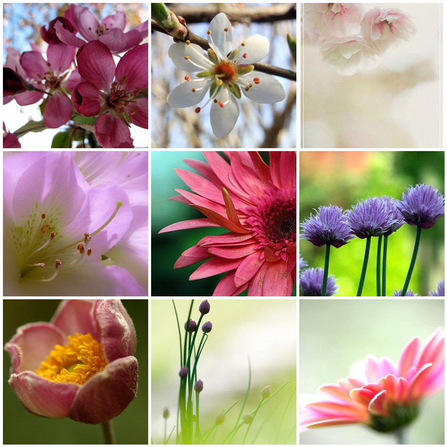 Mosaic Monday: Goodbye April, Hello May - The Sweet Tidings