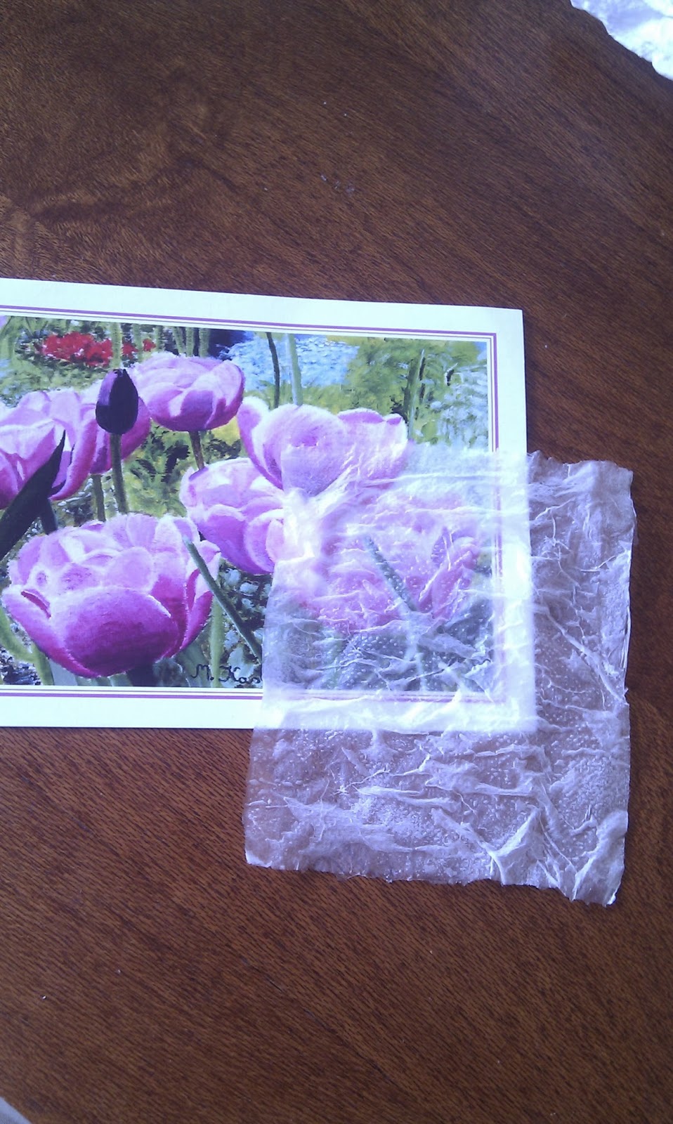 Yes, you can make translucent membranes with paper mache