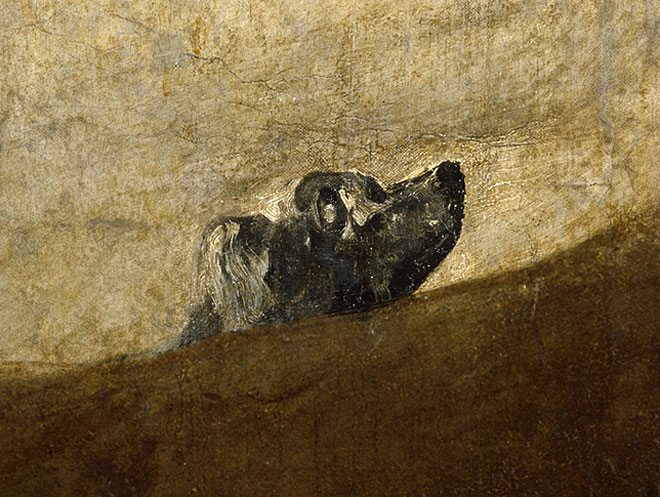 OUTSIDERS - IL MUSEO IMMAGINARIO: IL CANE DI GOYA. UN MESSAGGIO DALLA ...