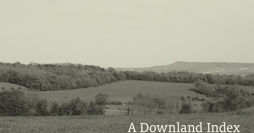 some LANDSCAPES: A Downland Index