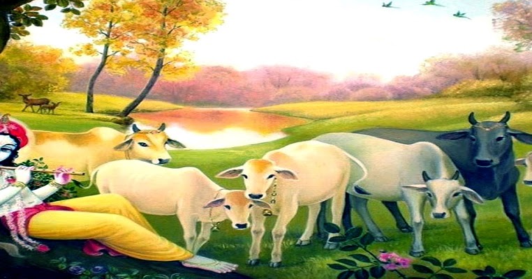 lord krishna with cows in vrindavan ~ mathura vrindavan