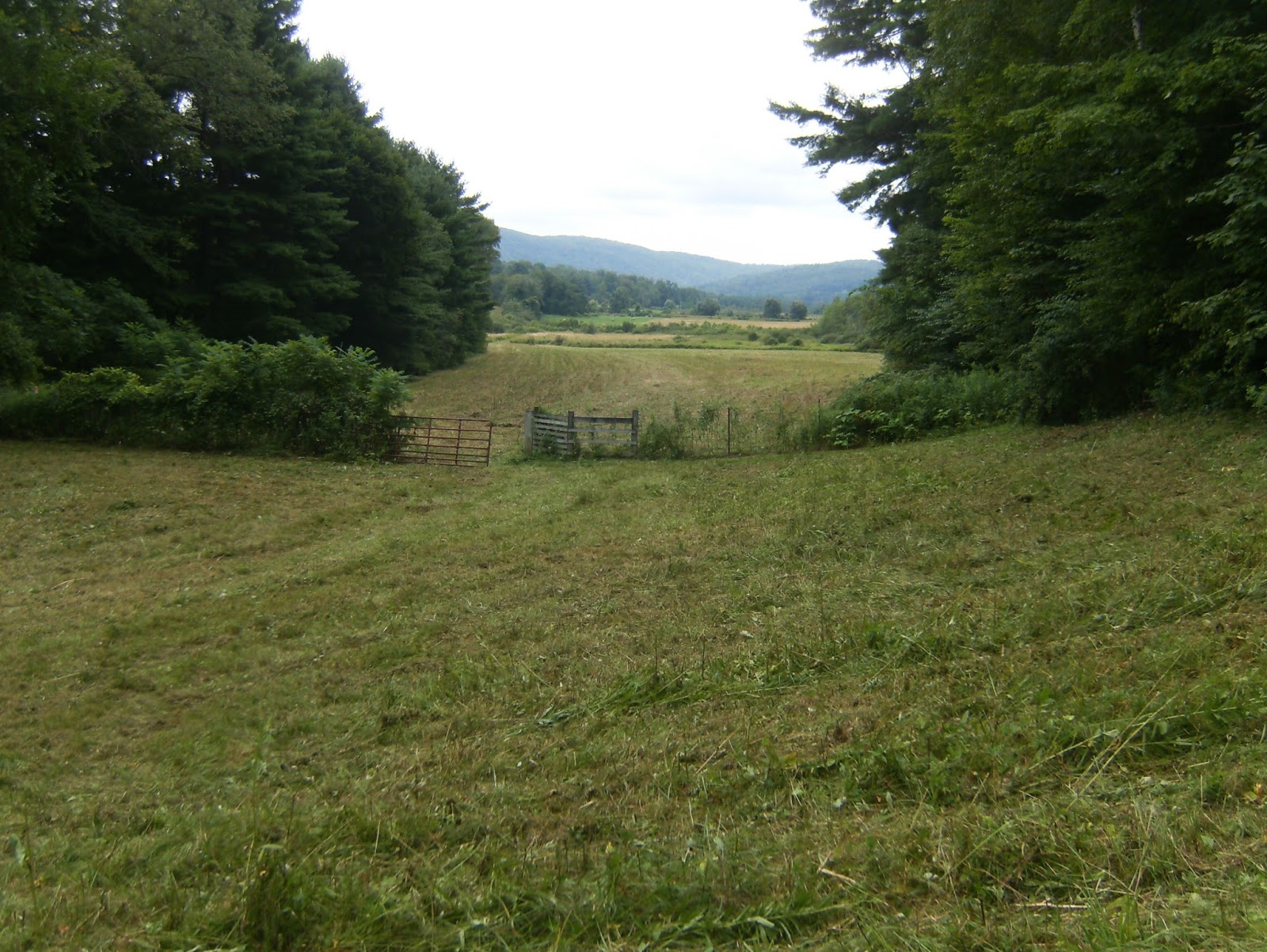 Fun in the Woods--Massachusetts AT Committee Project Blog: Field ...