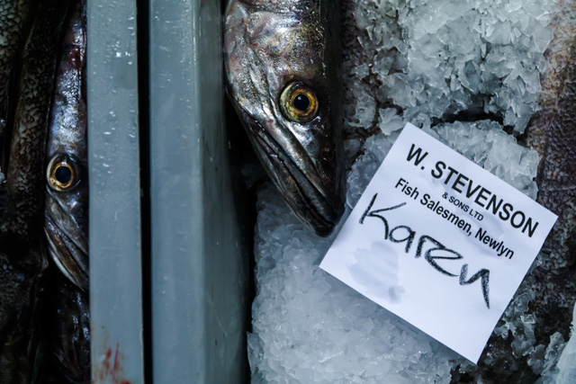 Through the Gaps! - Newlyn Fishing News: "A fish-frail of stout" on ...