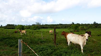 paleric: EARLY AMERICAN SHIP IN TINIAN