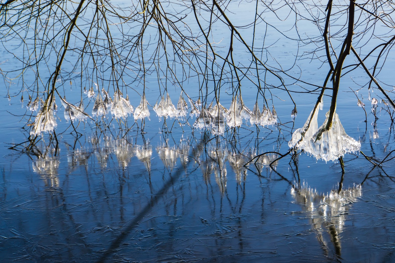 Hald Sø's Bådelaug: Smukke vinterbilleder